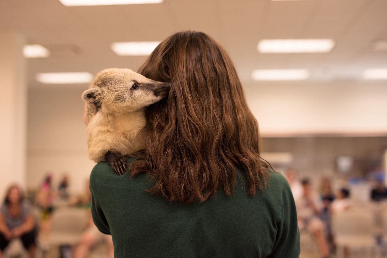 Home - Bucks County Free Library