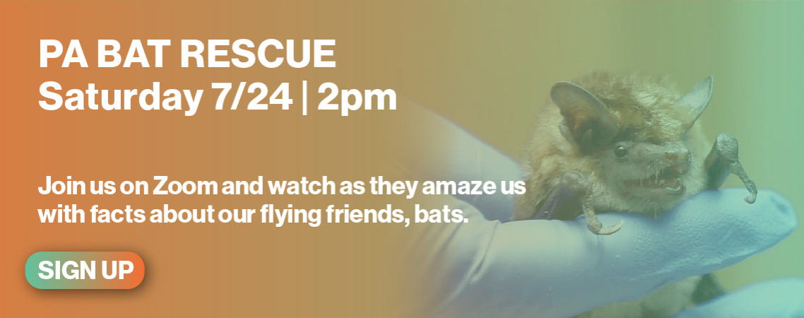 Home - Bucks County Free Library